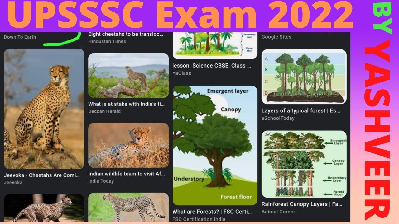 Upsssc Forest guard paper 2022 ,,, easy explain BY YASHVEER - YouTube