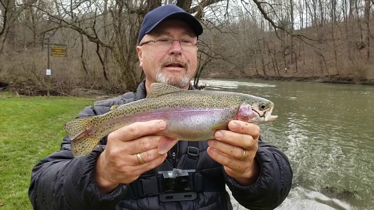 Fishing with Chicken & catching Trout! - YouTube