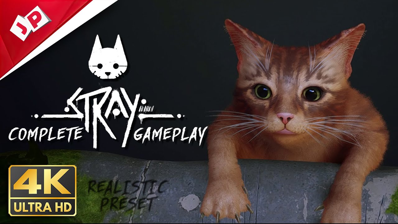 STRAY WALKTHROUGH 4K 60fps No Commentary - YouTube