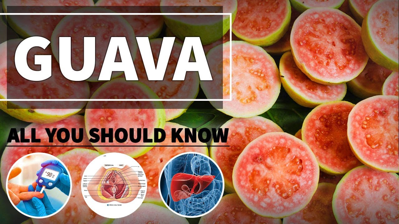 GUAVA: Plant Based SUPERFOOD | Medicinal plants 💚 100% Natural - YouTube