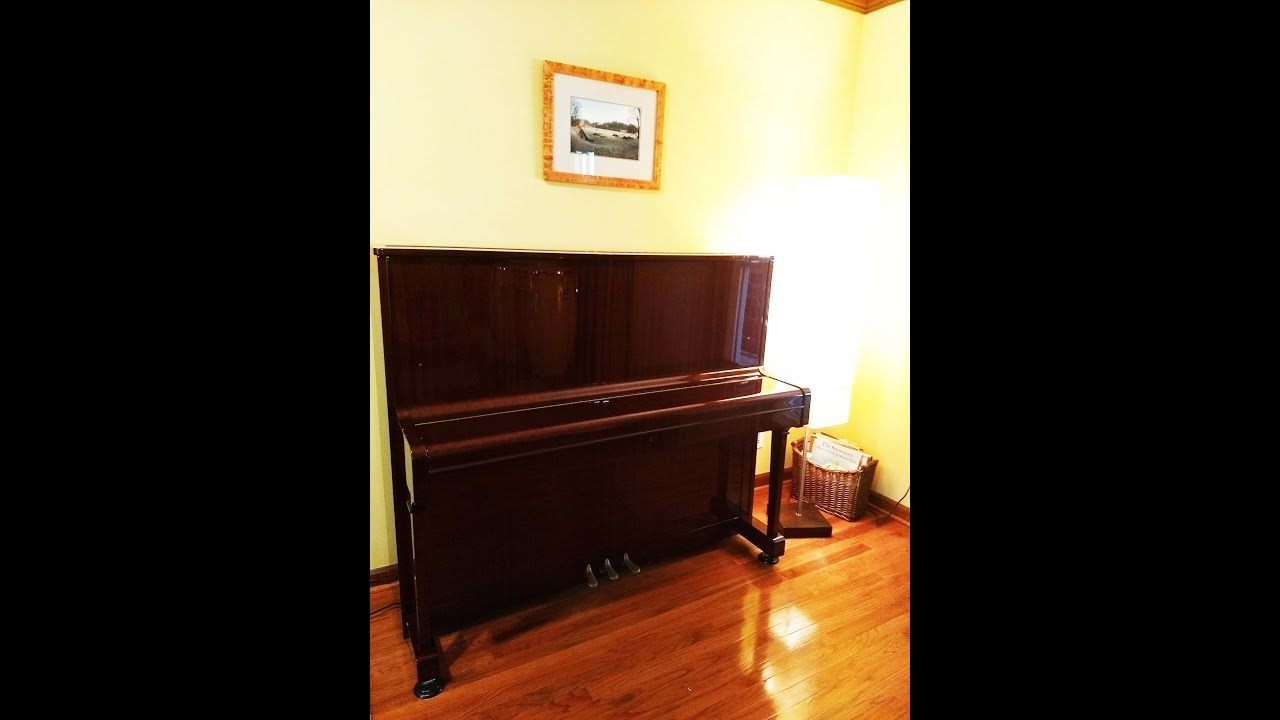 Exceptional Petrof piano - YouTube