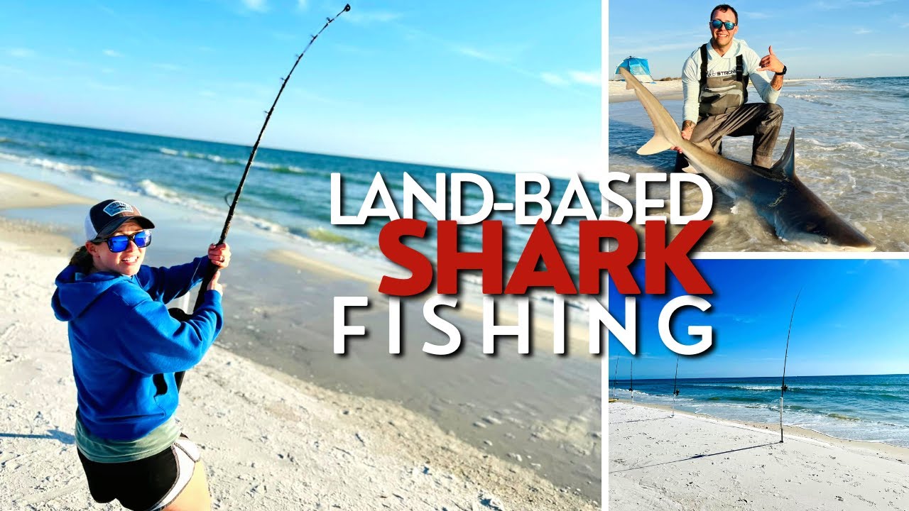 First SHARK on the Penn Squall 50! *Land-Based Shark Fishing* | Panama ...