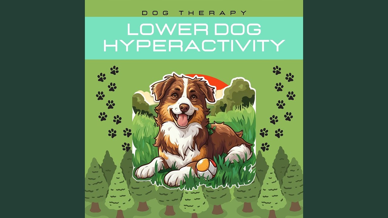 Woof Waves - YouTube