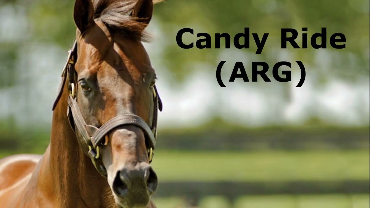 CANDY RIDE (🇦🇷) 🏆 Meet Gun Runner's Father 🐎🐎🐎 - YouTube