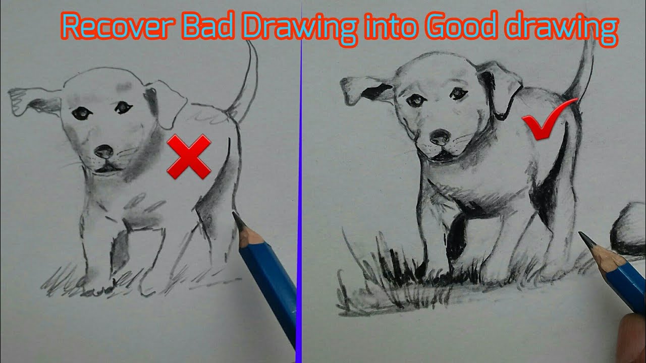 Good And Bad Drawings How 'bad' Drawings Took A Liverpool Illustrator