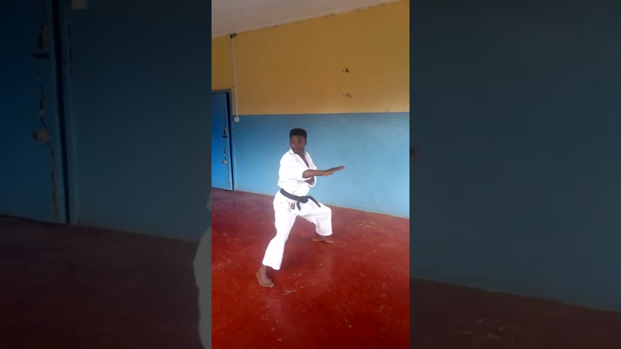 tekki nidan,shotokan karate kata - YouTube