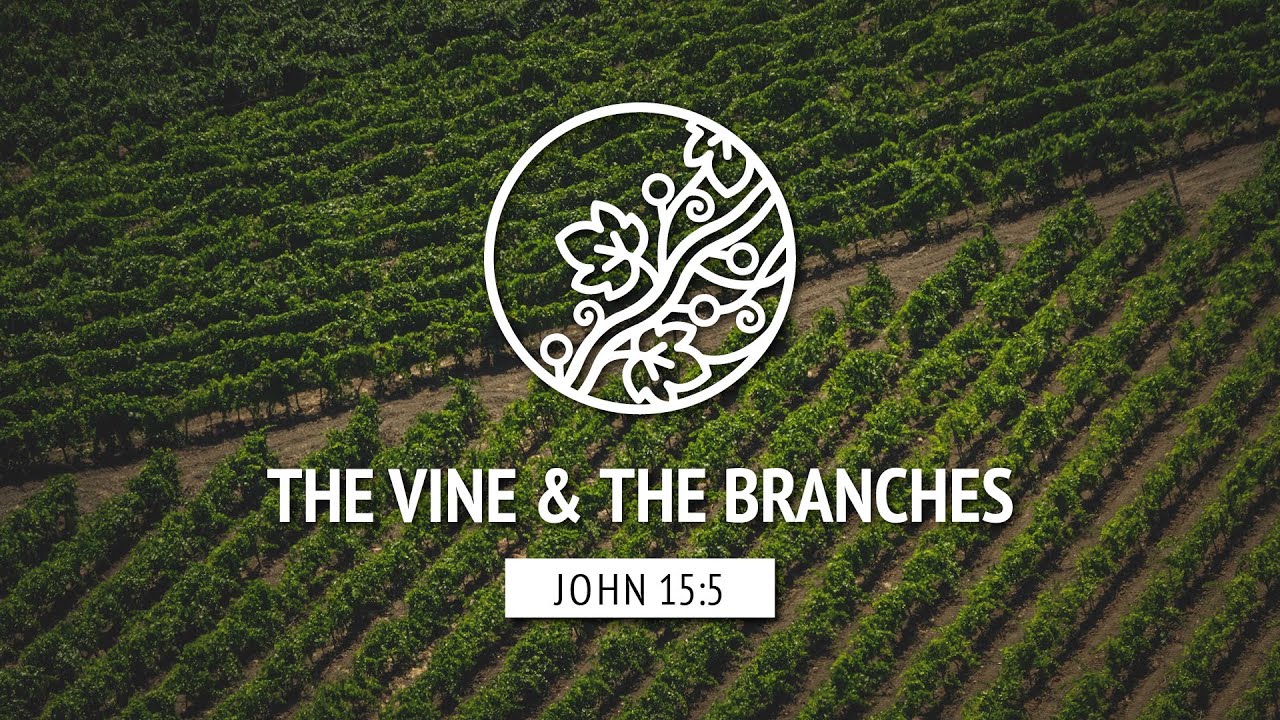 The Vine & The Branches | John 15:5 - Launch Sunday - YouTube