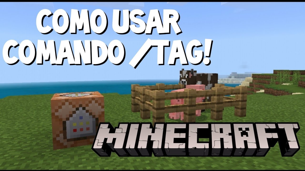 Como usar o COMANDO /TAG! Minecraft - YouTube