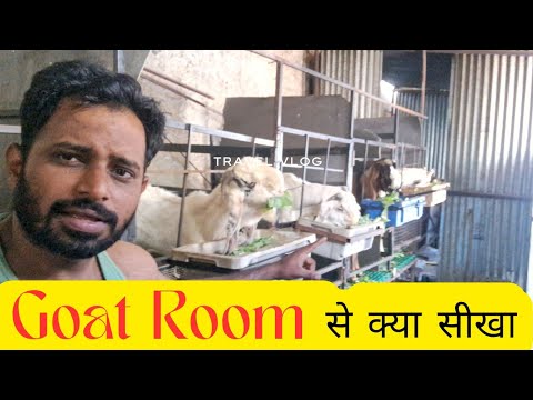 Vlog #167 |goat room से क्या सीखा hum nay - YouTube