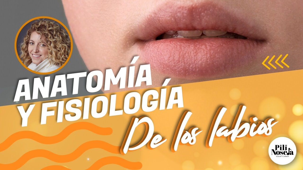 Fisiología de los labios - YouTube