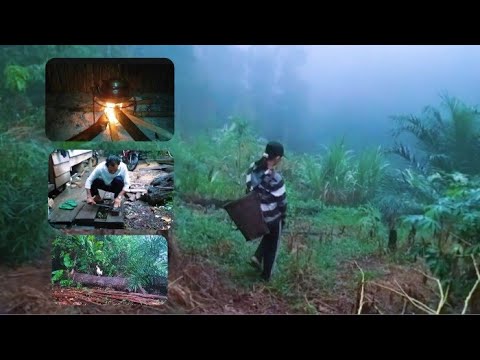 KEHIDUPAN TINGGAL DI KEBUN TEGAH HUTAN KALIMANTAN🌴🌳#alamkalimantan#borneokalimantan#kalimantan#fyp