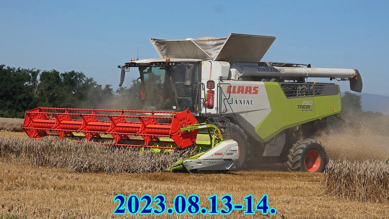 │2023.08.13-14.│🇩🇪 CLAAS TRION 750 + Vario 770🚜│🌾 Búza aratás / Wheat ...