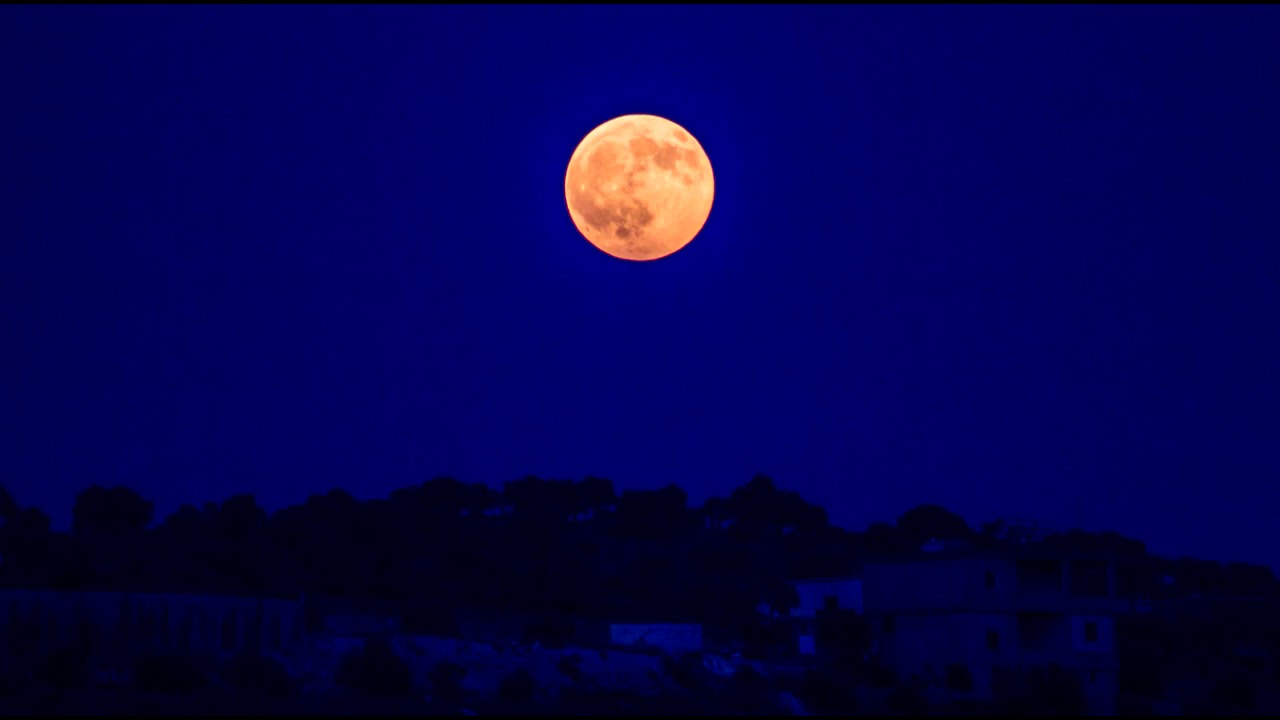CRICKET NOISE CAN MAKE YOU SLEEP DEEP AT NIGHT I 10 Hours of cricket ...