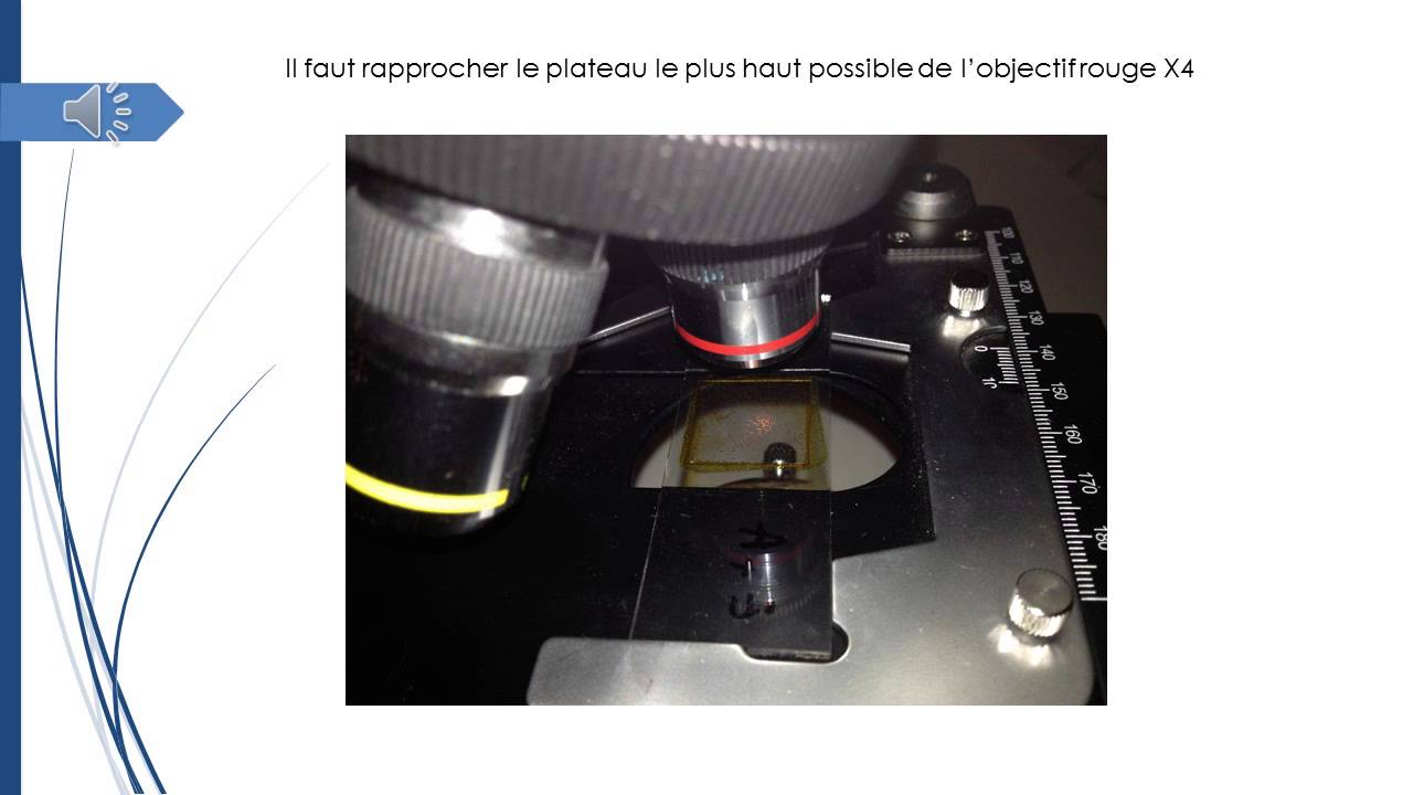 utilisation du microscope optique - YouTube