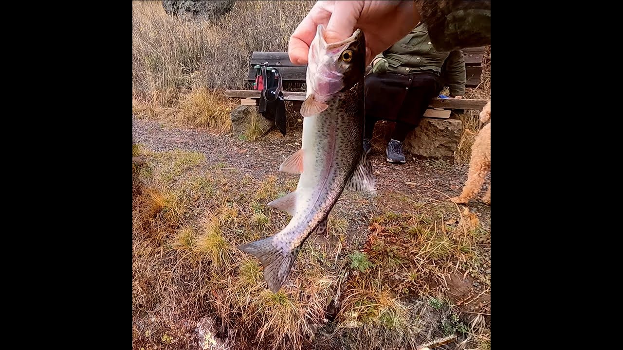 Bull Prairie Fishing - YouTube