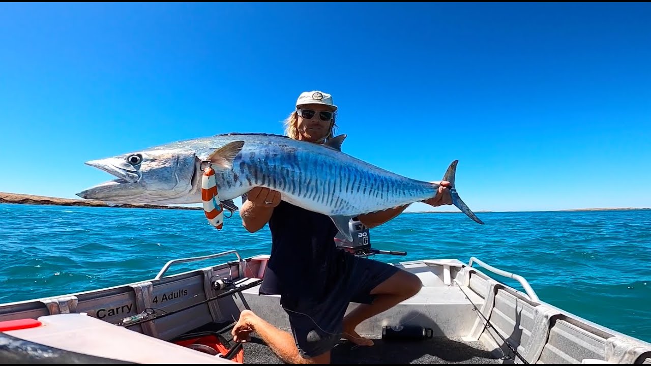 Montebello Islands, Big Fish Shallow Water. - YouTube