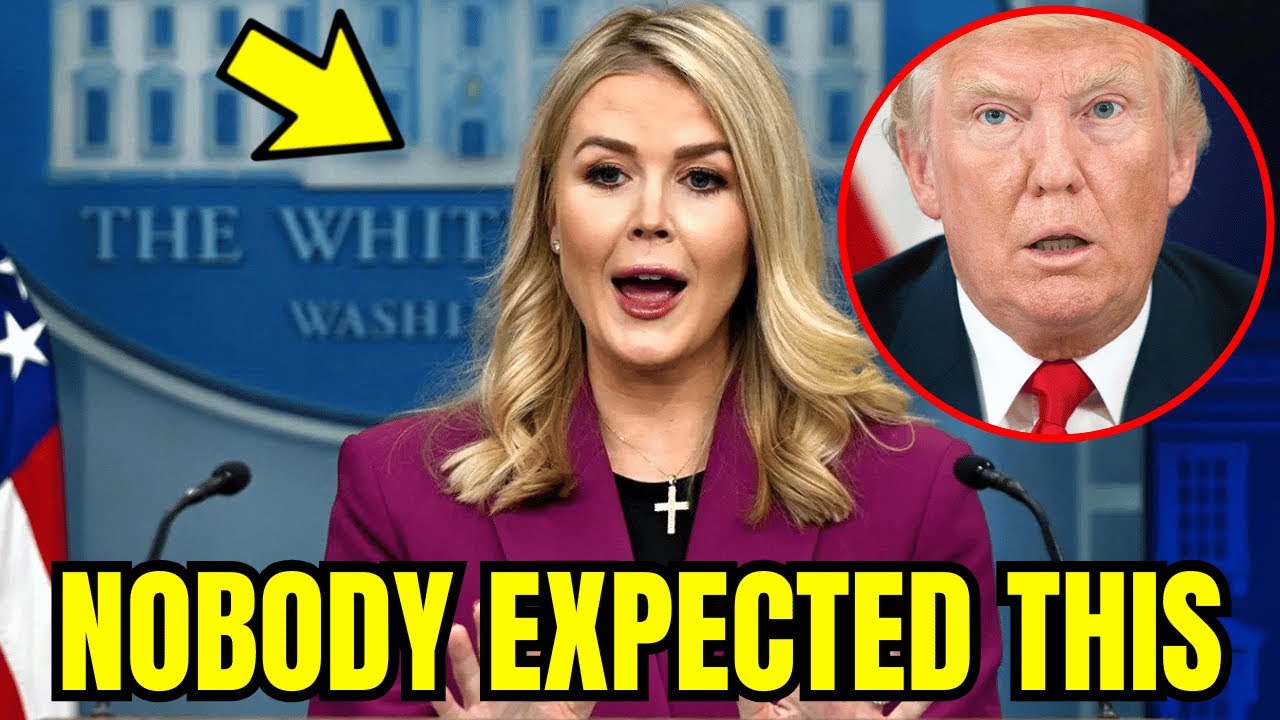 Trump Press Secretary Leavitt LOSES TEMPER, Drops F-BOMB after Musk's ...