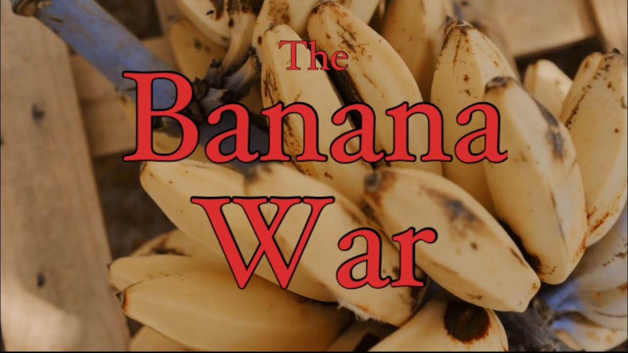 Nerdy Turds Films Presents- The Banana War - YouTube