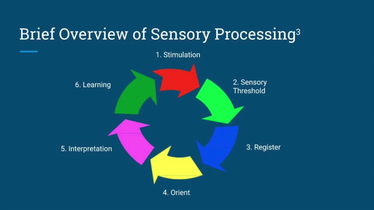 Module 1: What is Sensory Processing? - YouTube