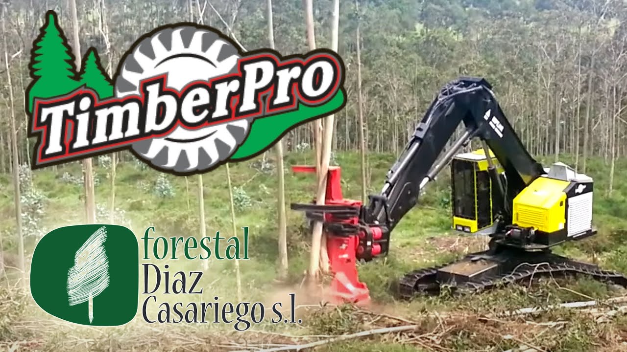 TIMBERPRO TL 725B TALANDO - YouTube