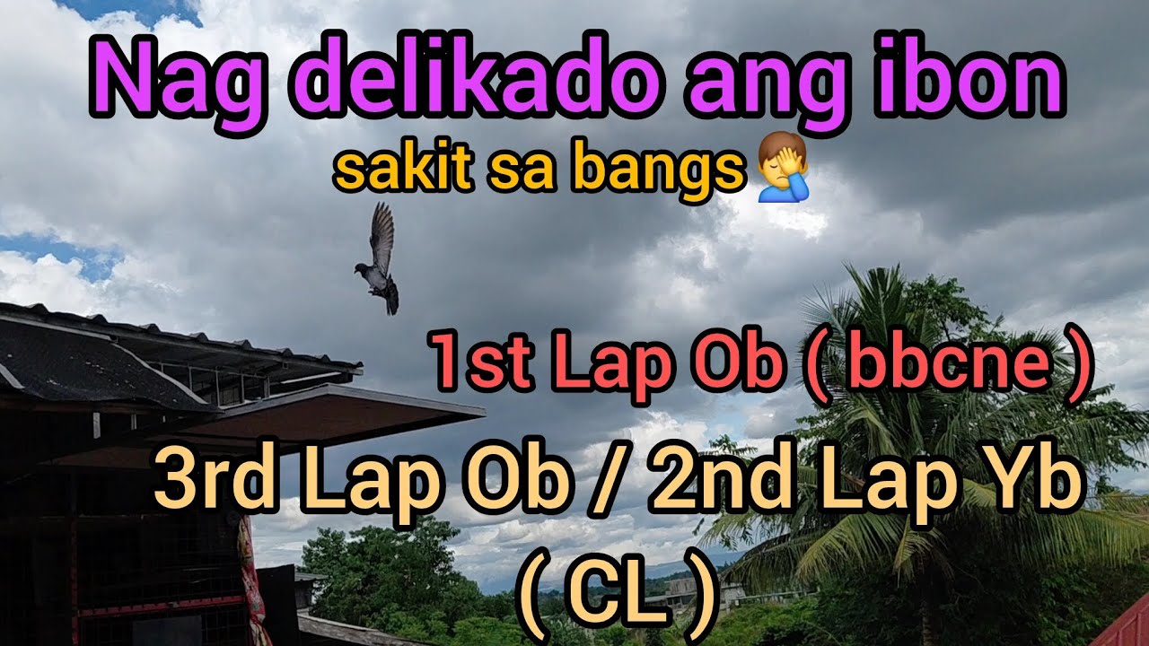 Nag delikado ang ibon Sakit sa bangs🤦 SDR 1st Lap bbcne | 3rd Lap OB ...