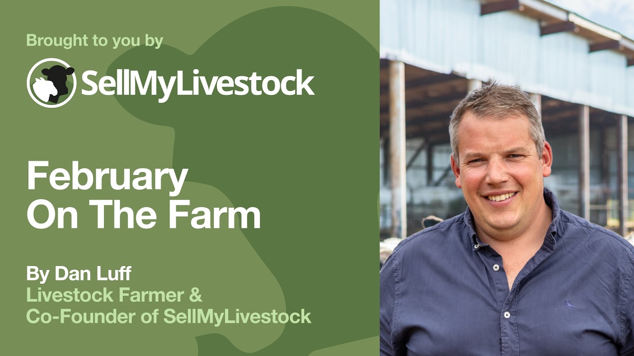February on the farm with Dan Luff - YouTube