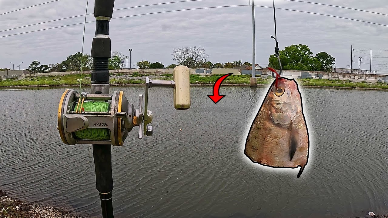 That Is NOT a Fish... Right? (FINALLY!) - YouTube