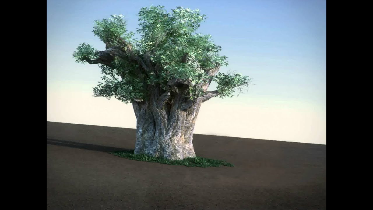 3D Model of African Baobab LowPoly Tree Review - YouTube