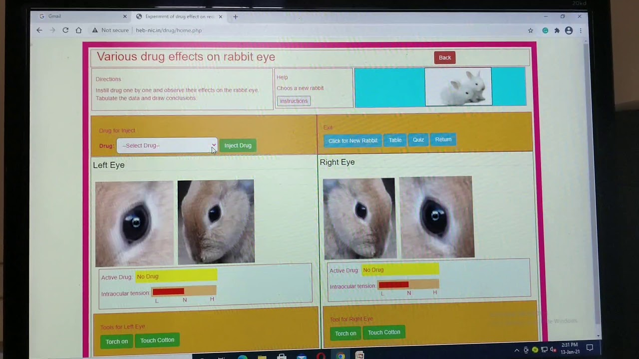 Experiment on effect of various drugs on rabbit's eye. - YouTube