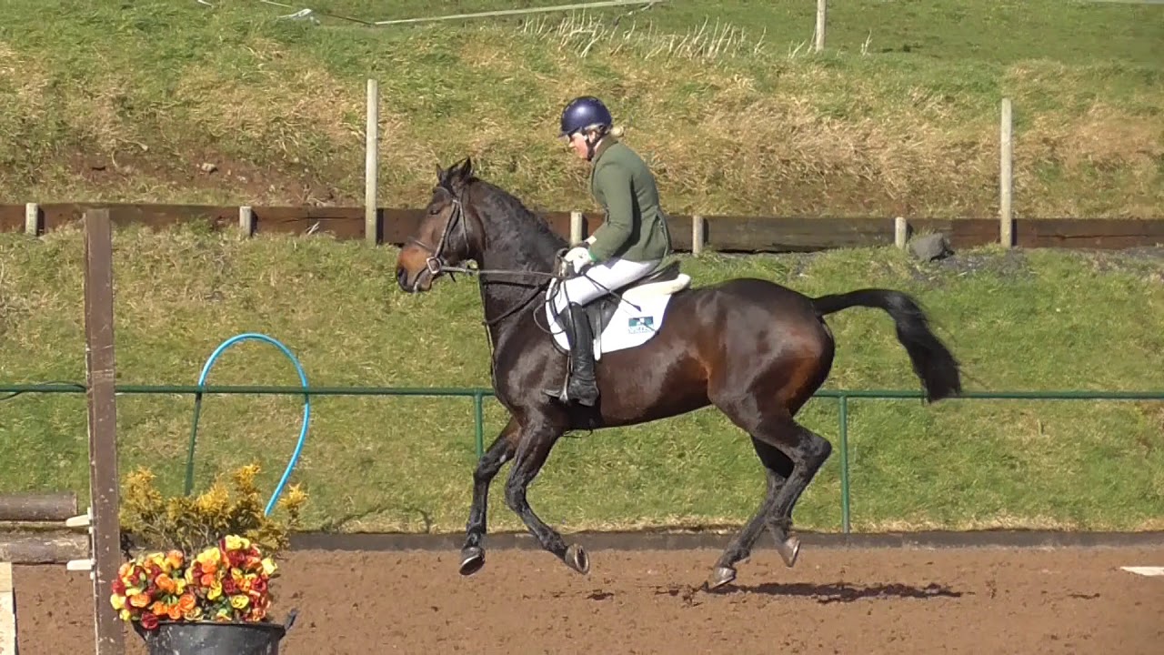 Balief Guy Feb 2020 - YouTube