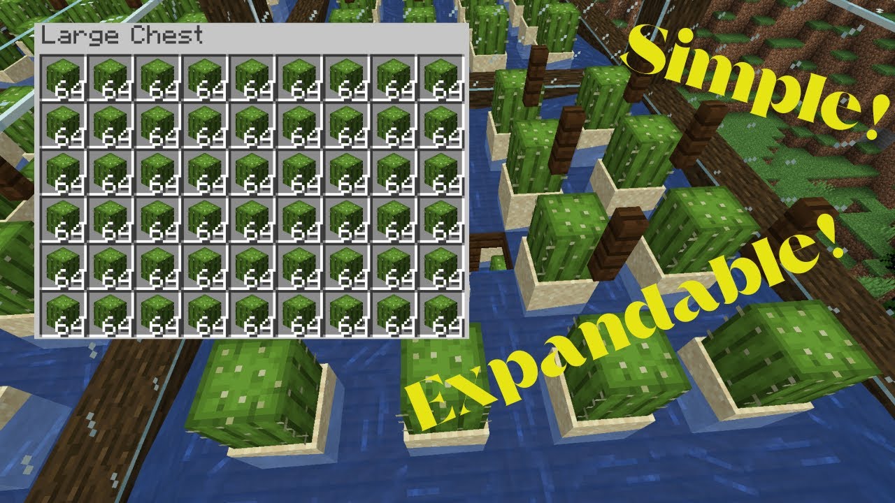 Minecraft Cactus Farm for Bedrock and Java 1.21 (Easy) - YouTube
