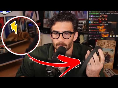 Streamer QÄULT Live seinen Hund ?!😨 Streamer benutzt sein Hund für Views! 