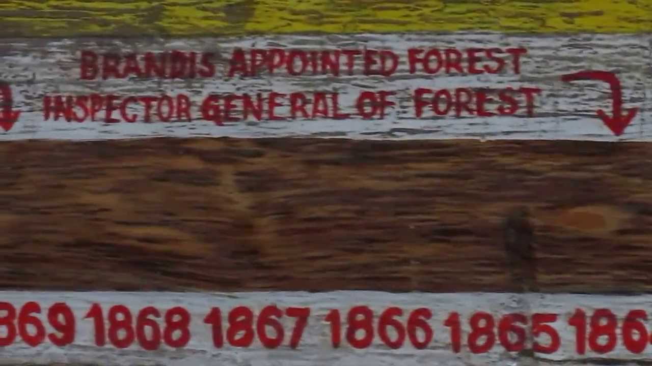 BIG LOG @ Balharshah Captured By Shiva - YouTube