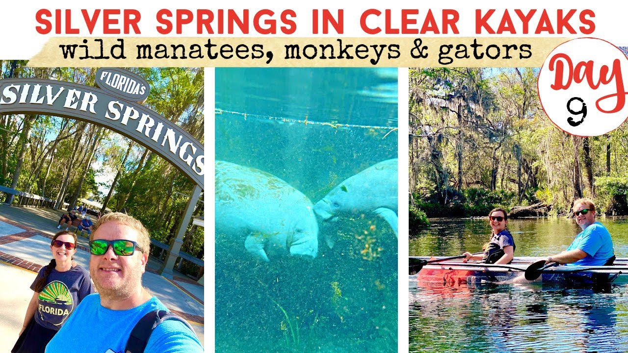 SILVER SPRINGS STATE PARK | Wild Manatees, Monkeys, Gators & More ...