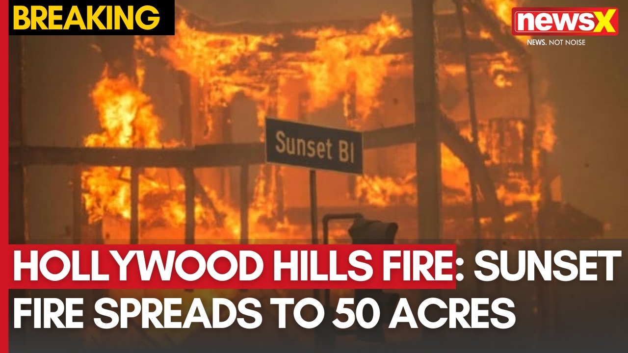 Hollywood Hills Fire: Sunset Fire Spreads to 50 Acres, Evacuations ...