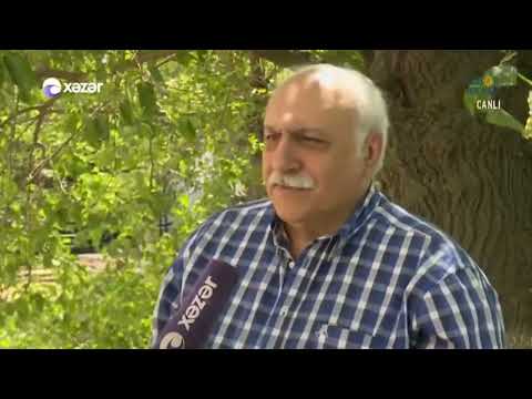 Eldar Mansurov - Zamiq Əliyev haqqında