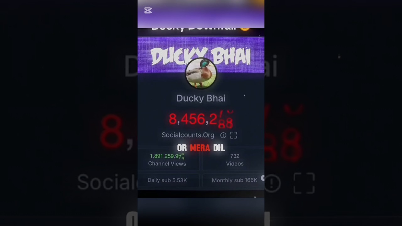 Ducky Bhai Downfall - The Fall is real ( Talha Anjum ) #trending # ...