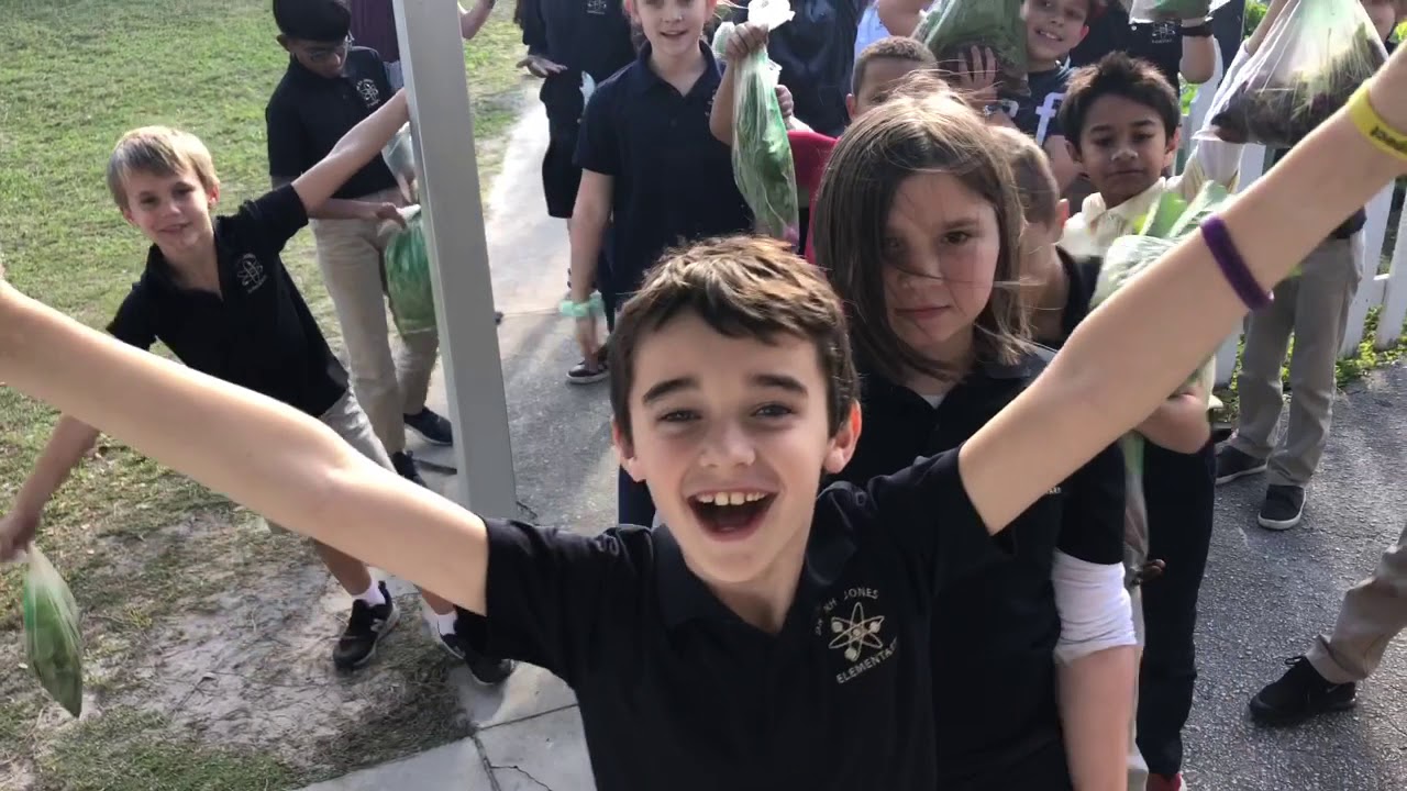 Dr. NH Jones Elementary - YouTube