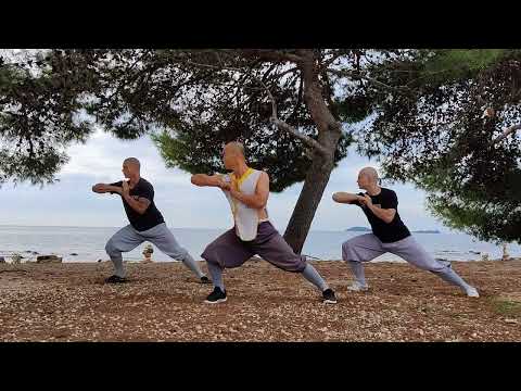 Shaolin Kung Fu Class 4: Bow Stance