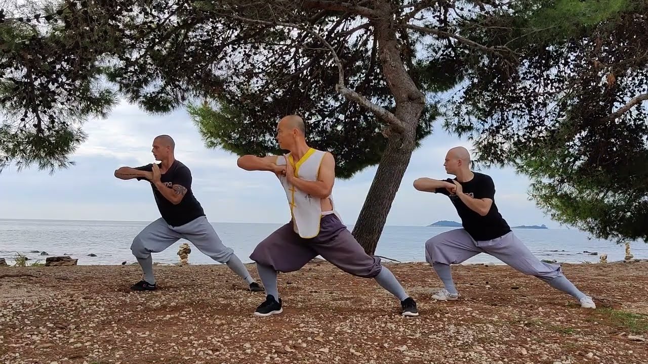 Shaolin Kung Fu Online Class 4: Bow Stance Movements - YouTube