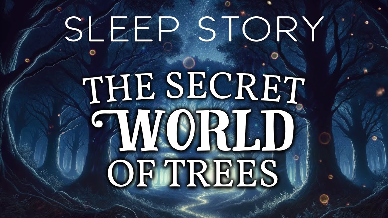 An Enchanted Forest BEDTIME Story: The Secret World of Trees - YouTube
