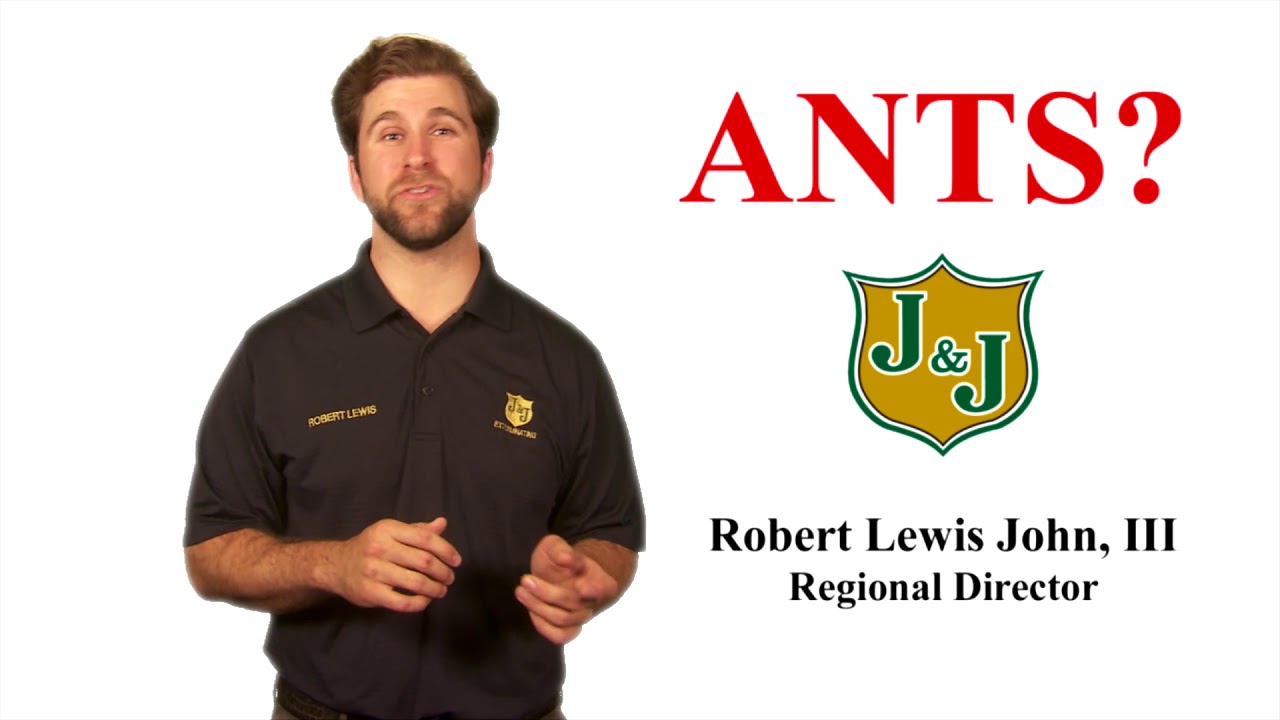 J&J Exterminating | Ant Control - YouTube
