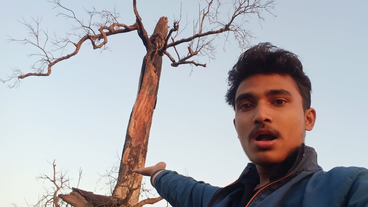 Ye Dekho Kya Hogya 😯 Tree Mein? - YouTube