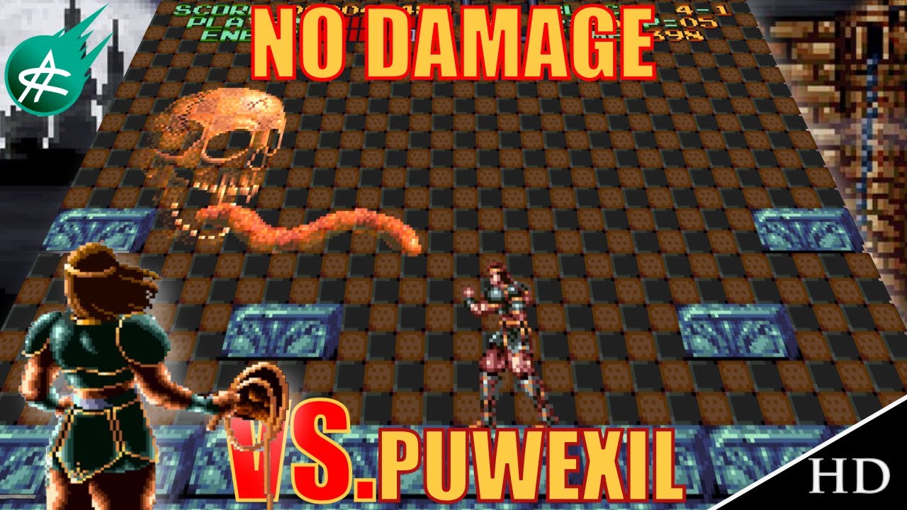 Simon Whip Only No Damage Puwexil (Stage 4) Boss Fight | Super ...