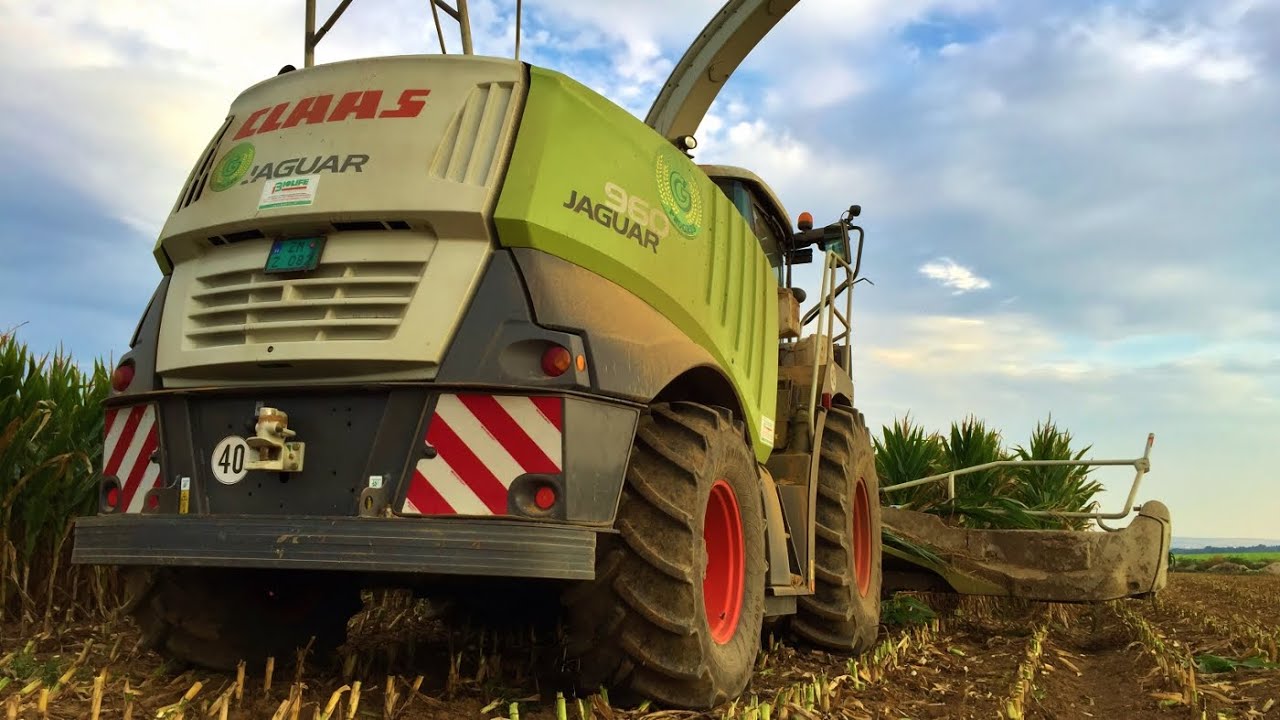 2x CLAAS Jaguar Forage Harvesters/Feldhäckslern - Chopping Maize ...