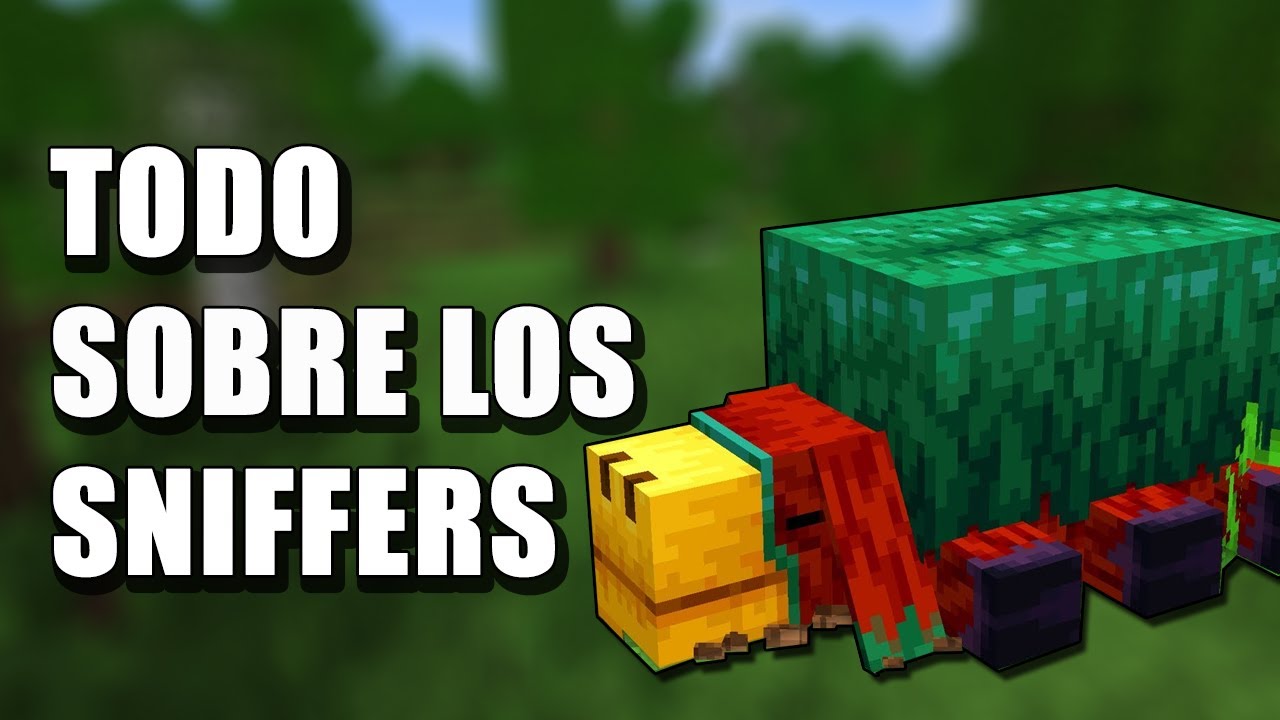Todo sobre los Sniffers - Guía Definitiva - YouTube