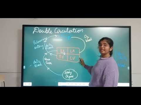 Double Circulation Class - 10 Biology - YouTube