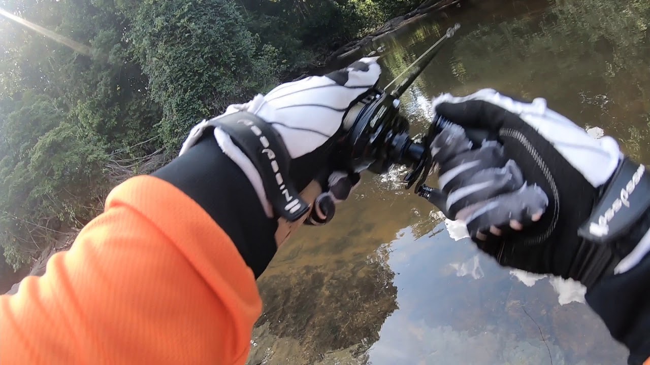 aimara du suriname - YouTube