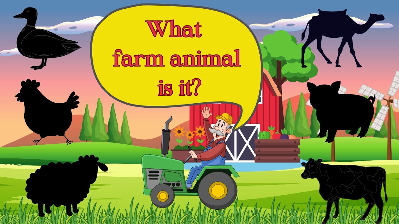 Find the farm animal with Mr.Old Macdonald . #farmanimals - YouTube