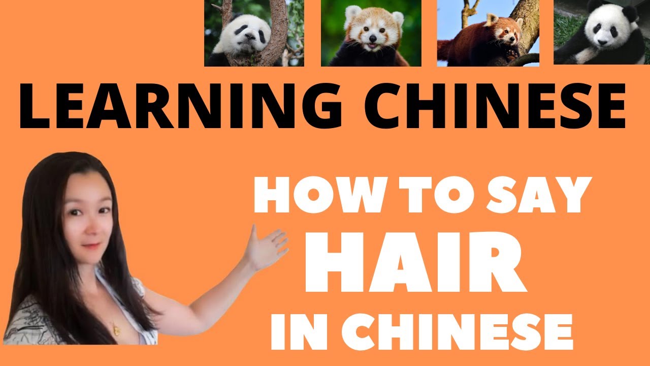 How to say I'm back in Chinese - YouTube
